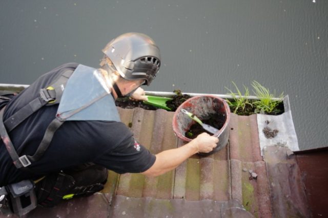 Dachrinnenreinigung Hamburg | seilfest